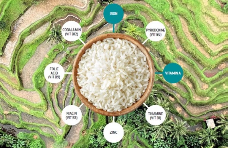 Rice Fortification - What Is It and What Can iCheck Do?