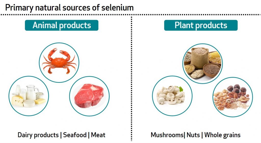 Source Of Vitamins And Minerals Benefits Of Selenium Bioanalyt