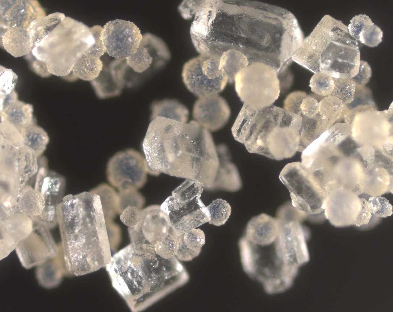 Fortified Sugar to Improve Vitamin A Status and iCheck Fluoro - Bioanalyt