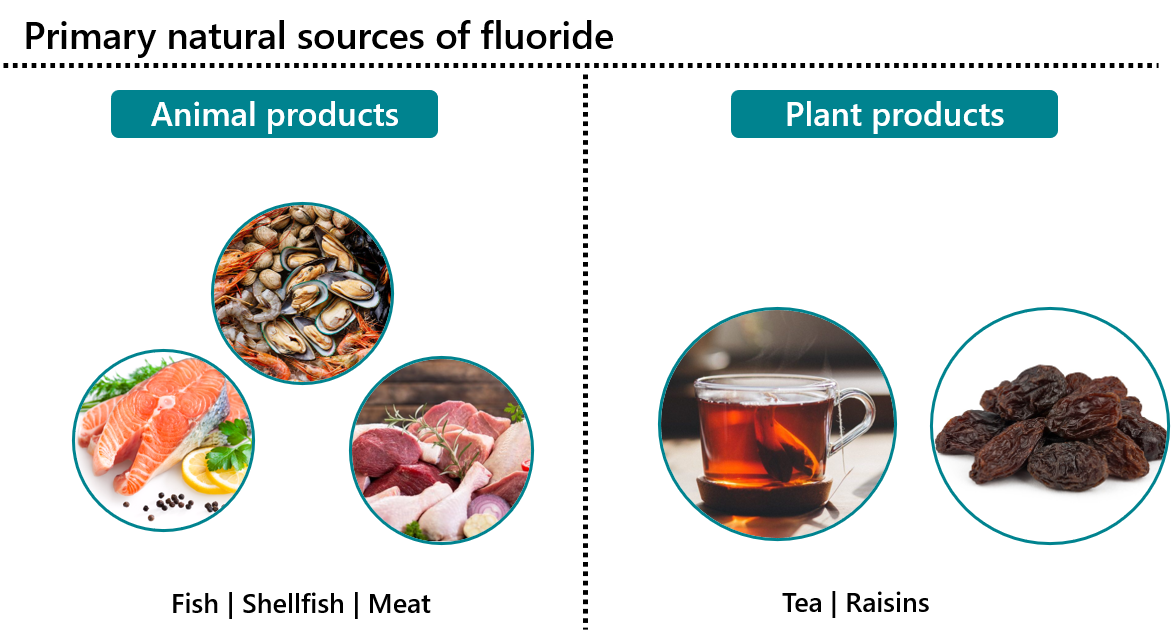 Food Sources Of Fluoride | Natural Sources Of Vitamin B6